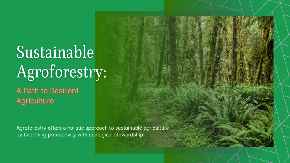 Sustainable Agroforestry: A Path to Resilient Agriculture | Good Food ...